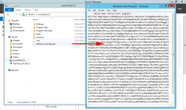 Certificate Services - Create a 'Wildcard Certificate' | PeteNetLive