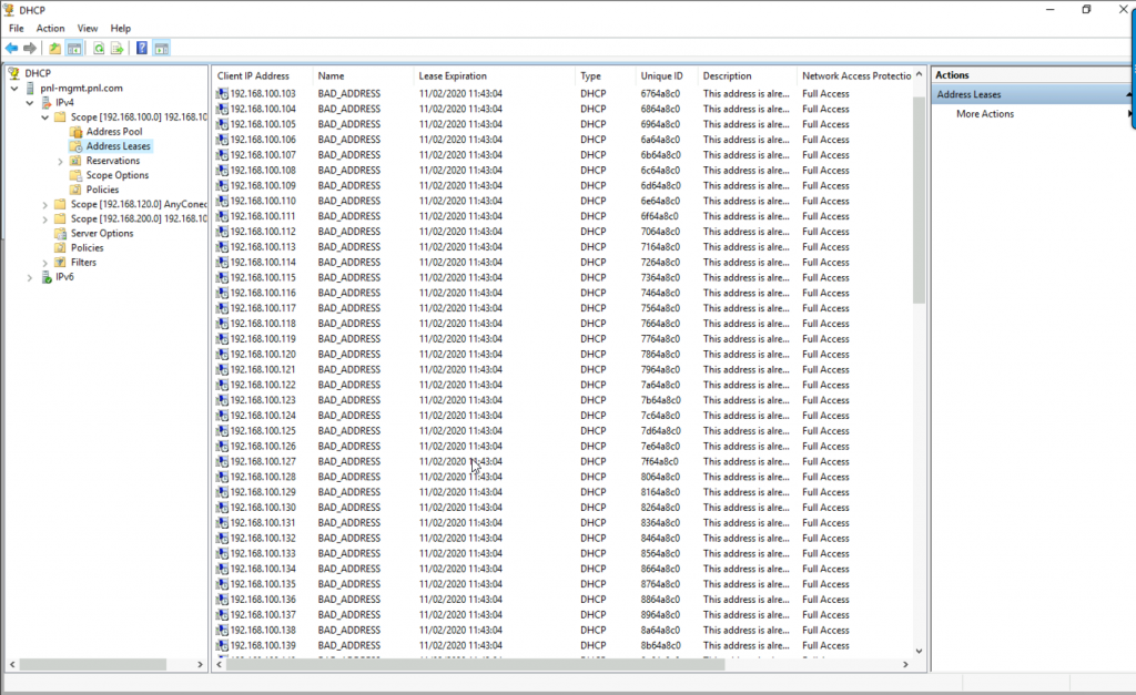 DHCP Scope: Full of BAD_ADDRESS Entries | PeteNetLive