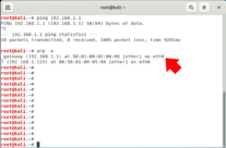 Fortigate: Cannot Ping an Interface? | PeteNetLive