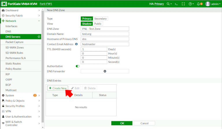 FortiGate DNS: Serving DNS Databases | PeteNetLive
