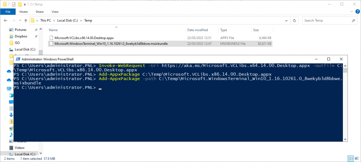 Install Windows Terminal on Windows Server 2022 | PeteNetLive